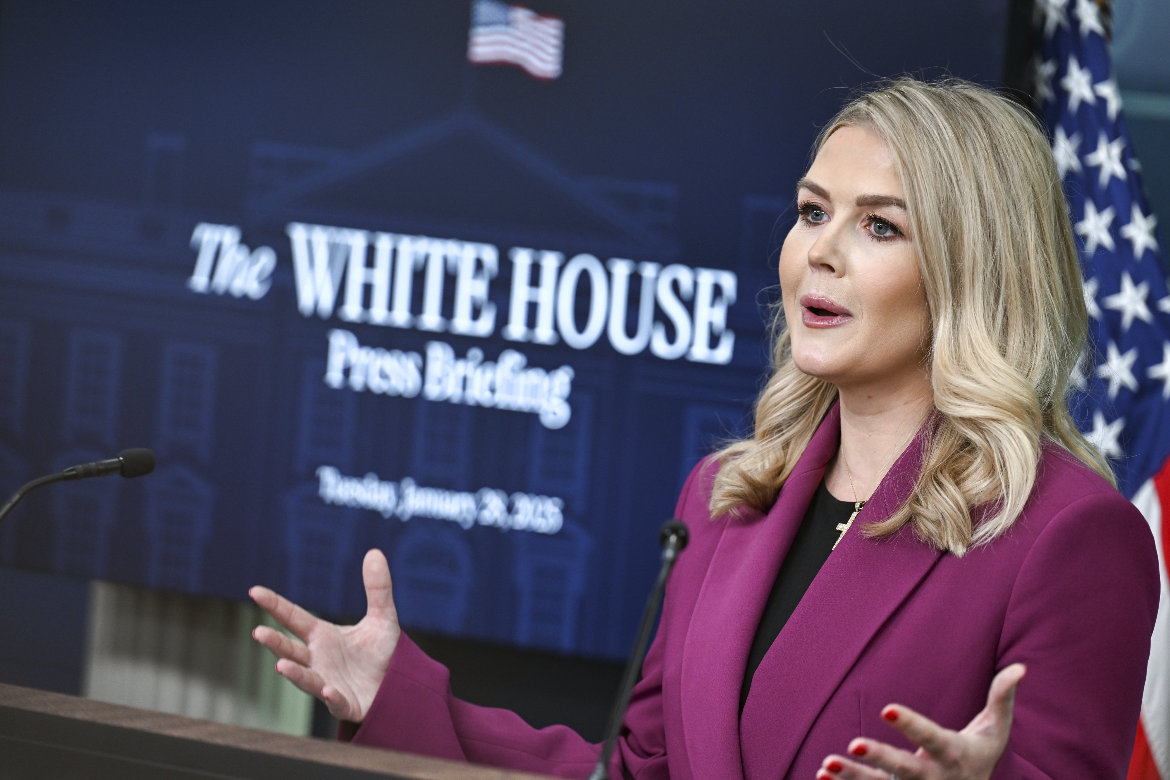 Karoline Leavitt targets media as White House press secretary - U.S ...